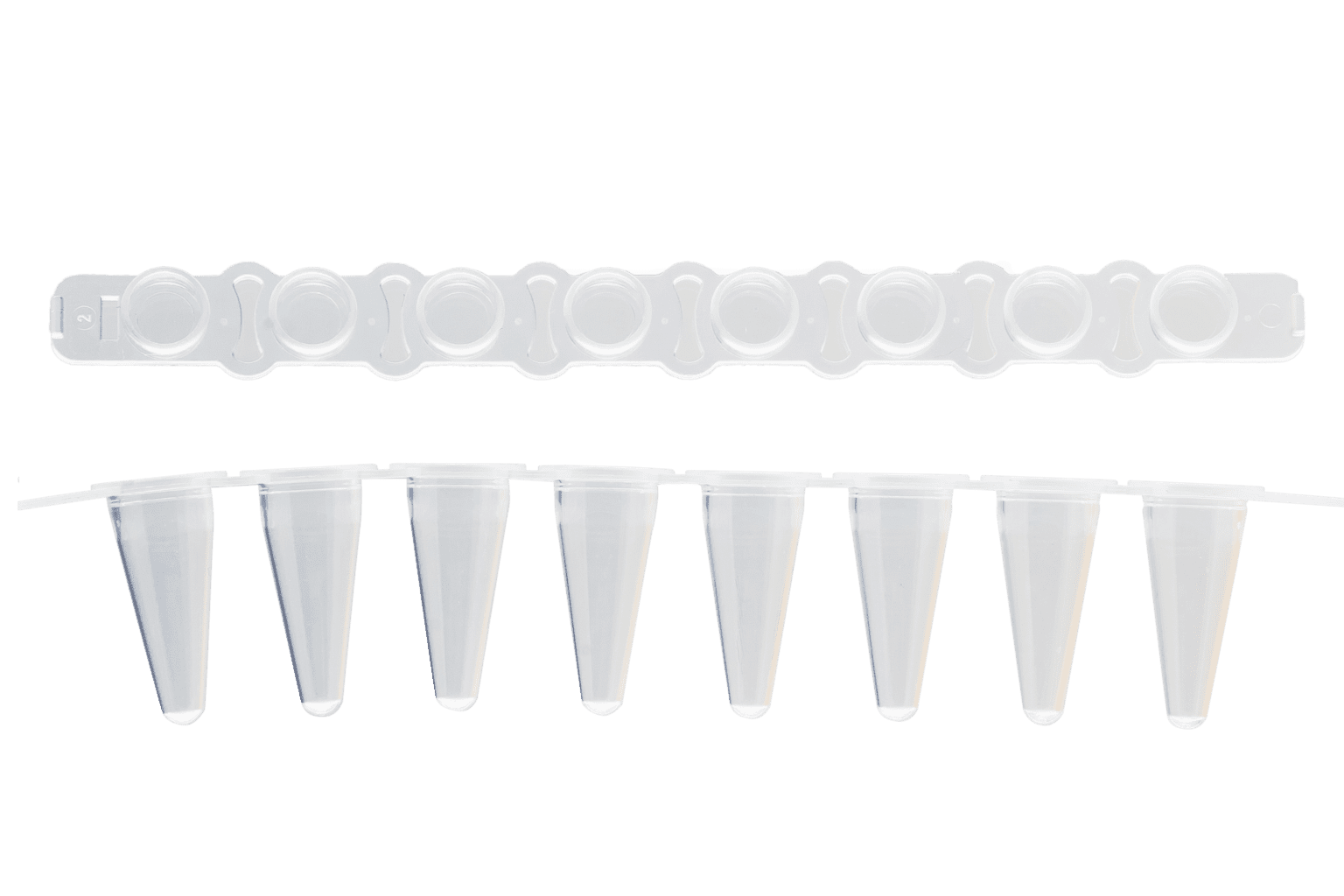 PCR strip 0.2mL 8-strip tubes, Bevestigde optical flat cap, Naturel ...